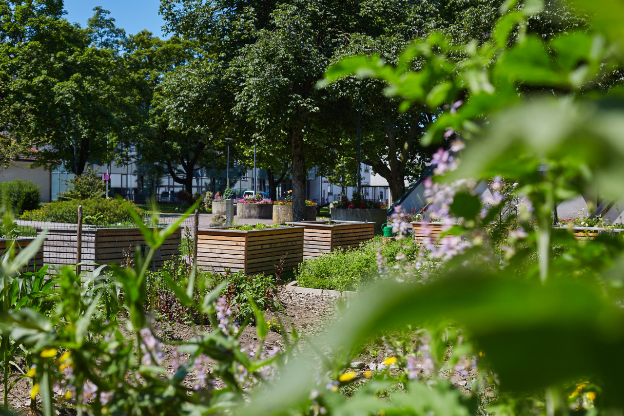 Essbare Stadt — Essbare Stadt